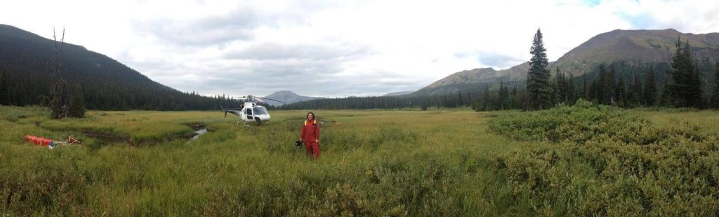 New Territory – Elspeth De Fanti shares her career in Forestry – Robogals
